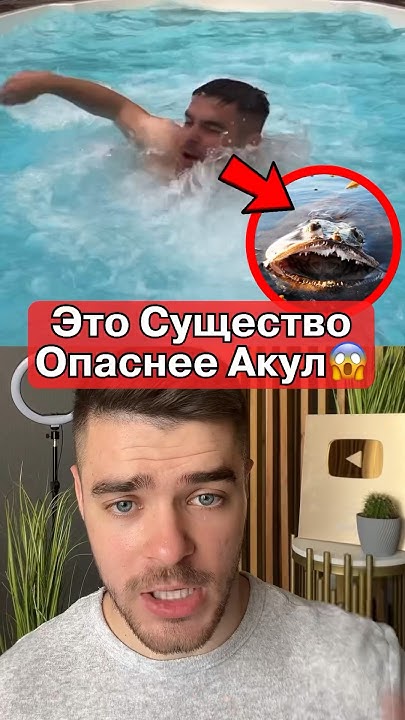 Это СУЩЕСТВО ОПАСНЕЕ Акул😱‼️ Youtube