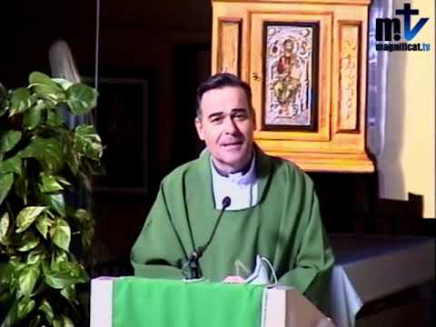 La Humildad, es caminar en la Verdad !..." - Padre Javier Martin F. M ...