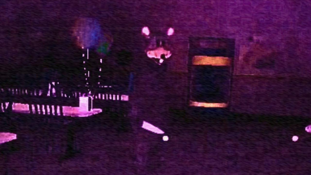 this roblox nightmare fuel game is brainrot - YouTube