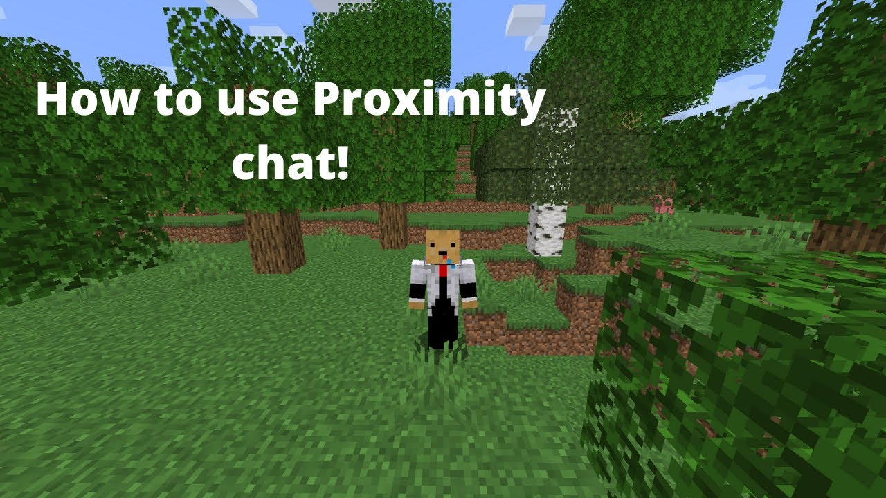 Proximity Chat Minecraft