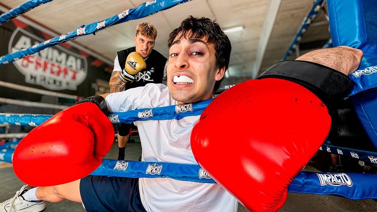 7 Días Para Aprender a Boxear - YouTube