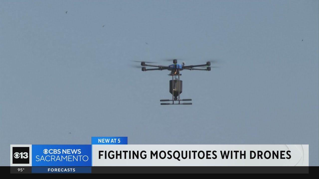 How vector control is using drones to combat mosquitos - YouTube