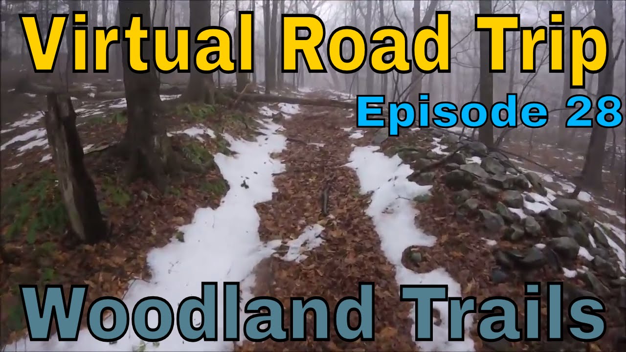Virtual Road Trip: Woodland Trails - YouTube