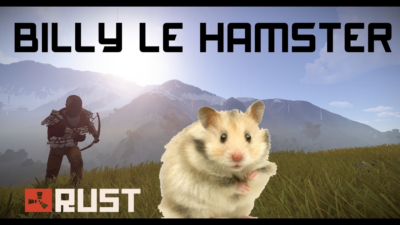 BILLY LE HAMSTER - Rust - YouTube