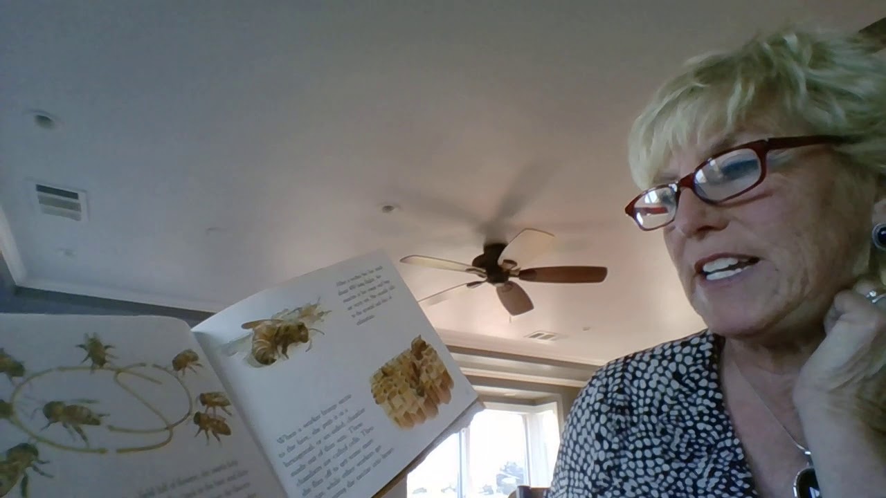 Honey in a Hive By Anne Rockwell read by Mrs Thompson - YouTube