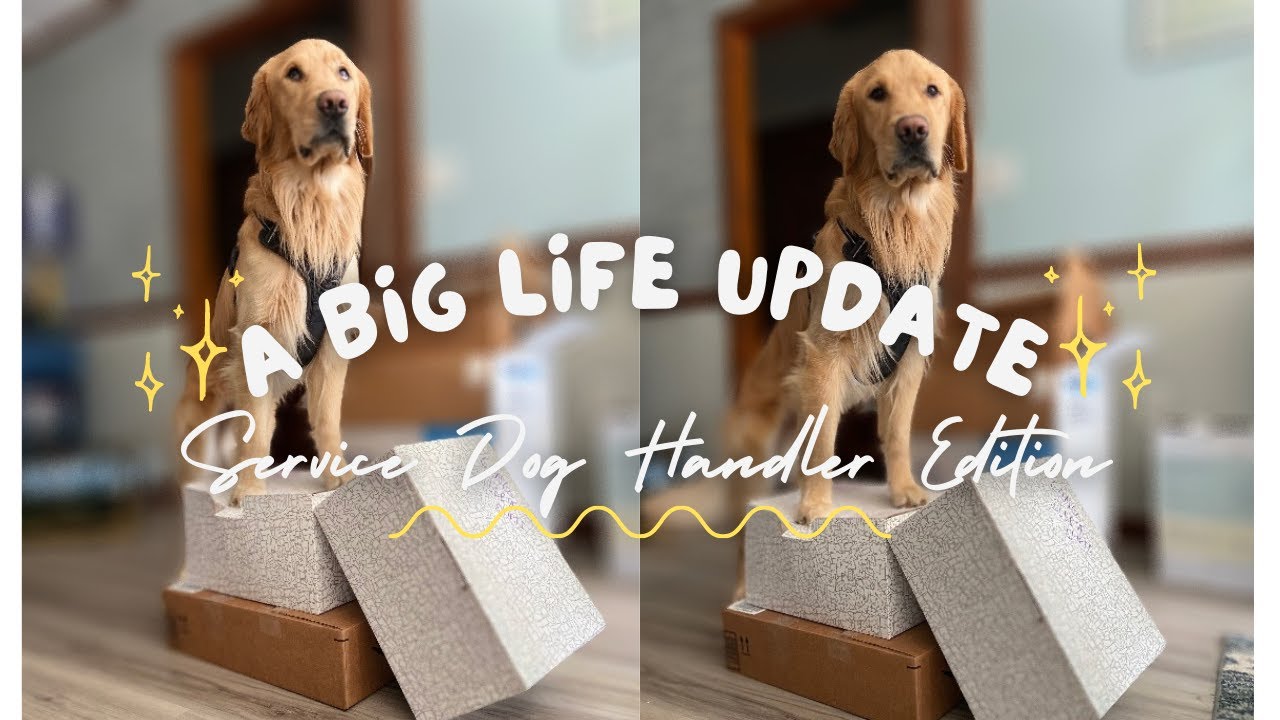 A Big Life Update! | Service Dog Edition | Moving with a Service Dog ...