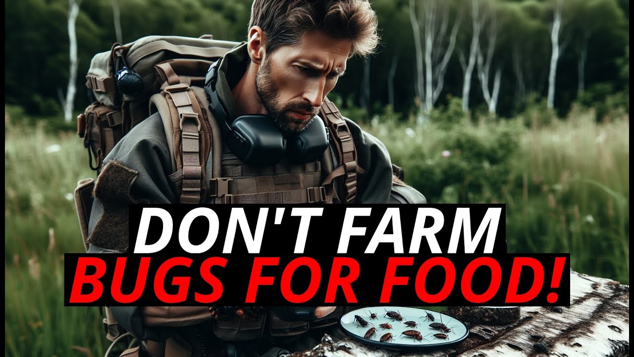 Why Farming Bugs Is the Wrong Answer: Practical Lessons from Survivalists - YouTube