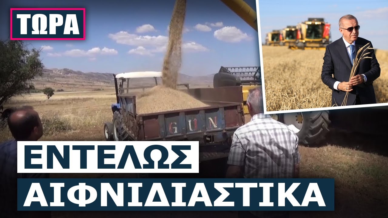 Γεμίζουν αποθήκες οι Τούρκοι καθώς περιμένουν τα χειρότερα: Κάτι ...