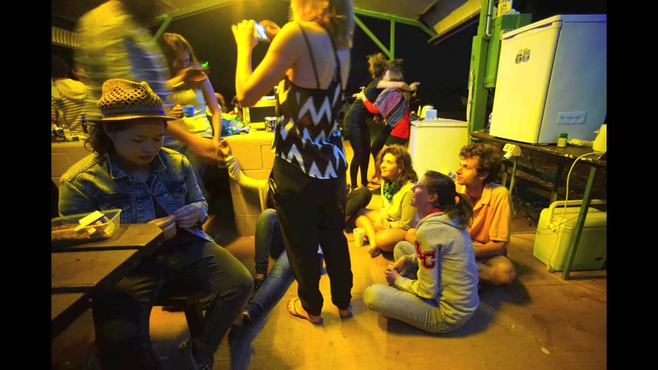 darwin crazy party - YouTube