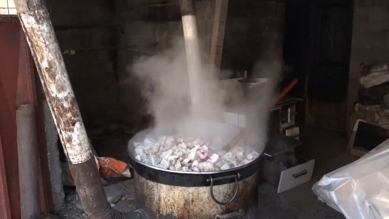 PRILOG - POSEK U GORNJOJ VRBAVI / 27. 11. 2024./ TV GM PLUS - YouTube