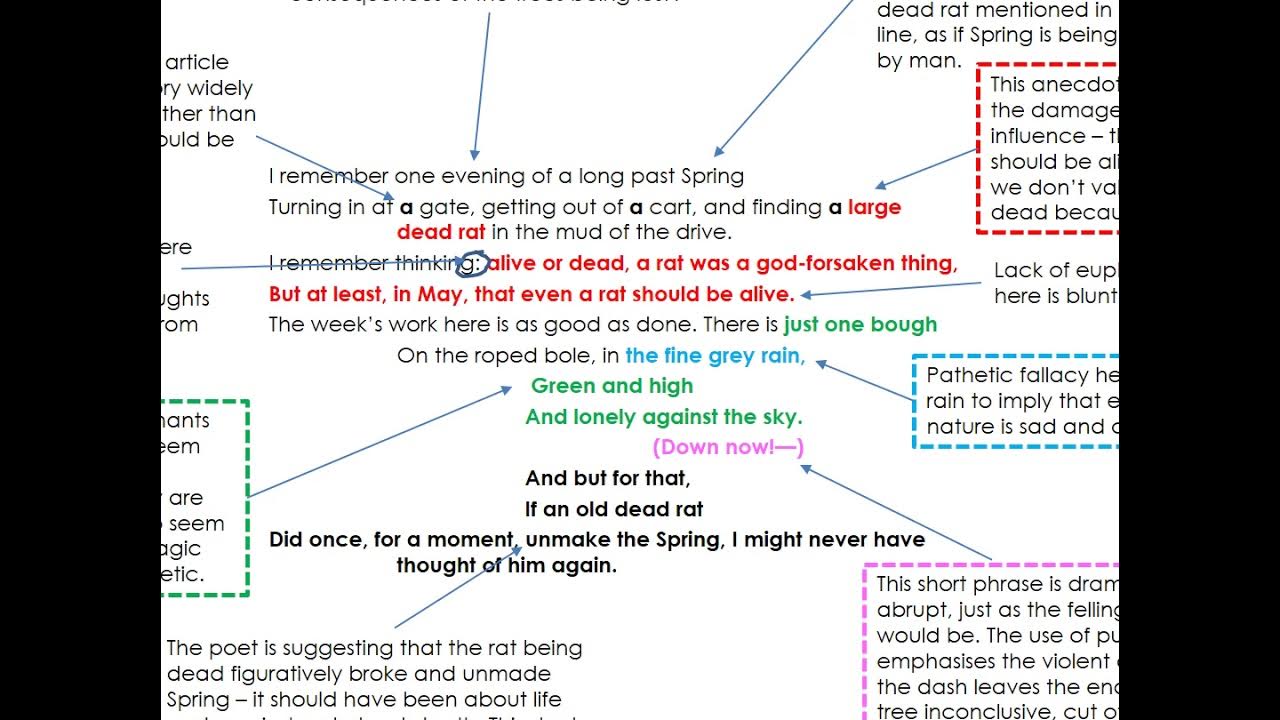 The Trees Are Down by Charlotte Mew - IGCSE English Literature - YouTube