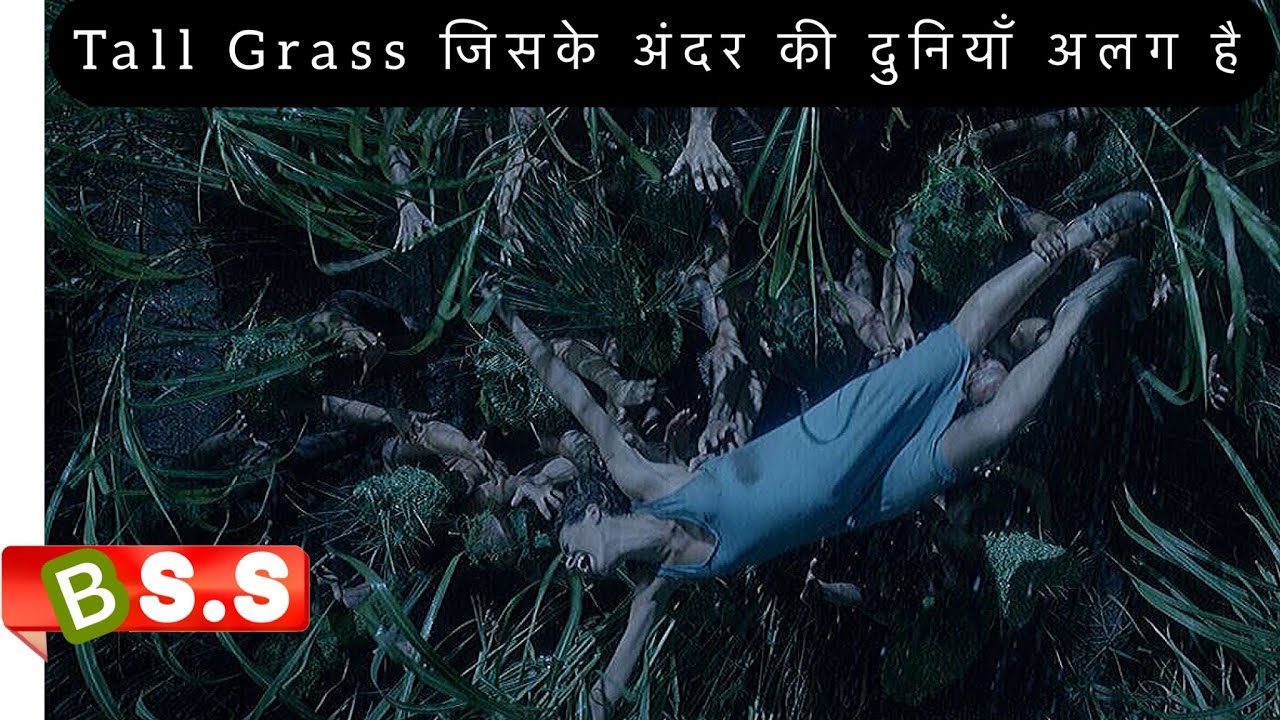 In The Tall Grass Movie Review Plot In Hindi Urdu YouTube in-the-tall-grass-movie-review-plot-in-hindi-urdu-youtube