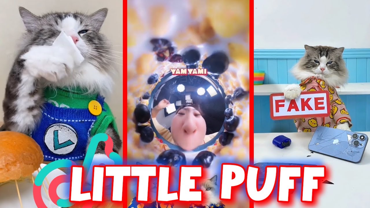 That Little Puff | COMEDY VIDEOS - YouTube