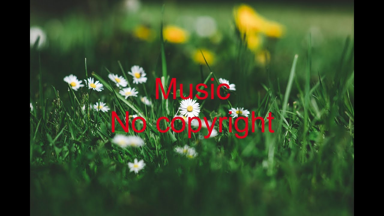 Nice Music I No Copyright I Nice Music 73 - YouTube