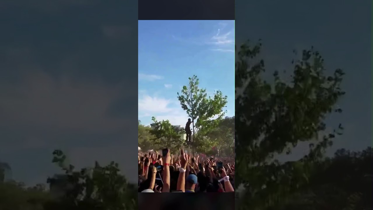 TRAVIS SCOTT DANS UN ARBRE POUR FAIRE SON CONCERT - YouTube