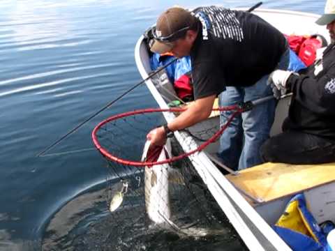 Reindeer Lake Fresh Trout Fishing - YouTube