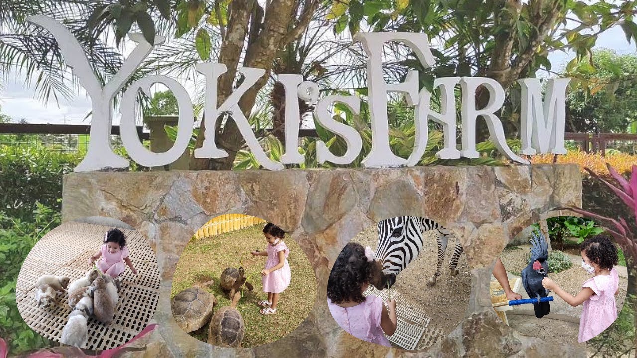 Yoki's Farm Tour | Animal Encounter | Tagaytay | Mendez, Cavite - YouTube