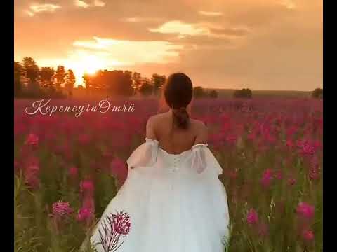 🦋🌷Whatsapp ucun maraqli statuslar,sevgiye aid video,Sounds App Status ucun qisa videolar 2022🍃