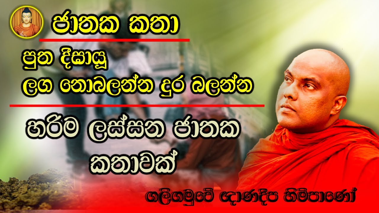 හරිම ලස්සන ජාතක කතාවක් | ගලිගමුවේ ඥාණදීප හිමිපාණෝ | ජාතක කතා | jathaka ...