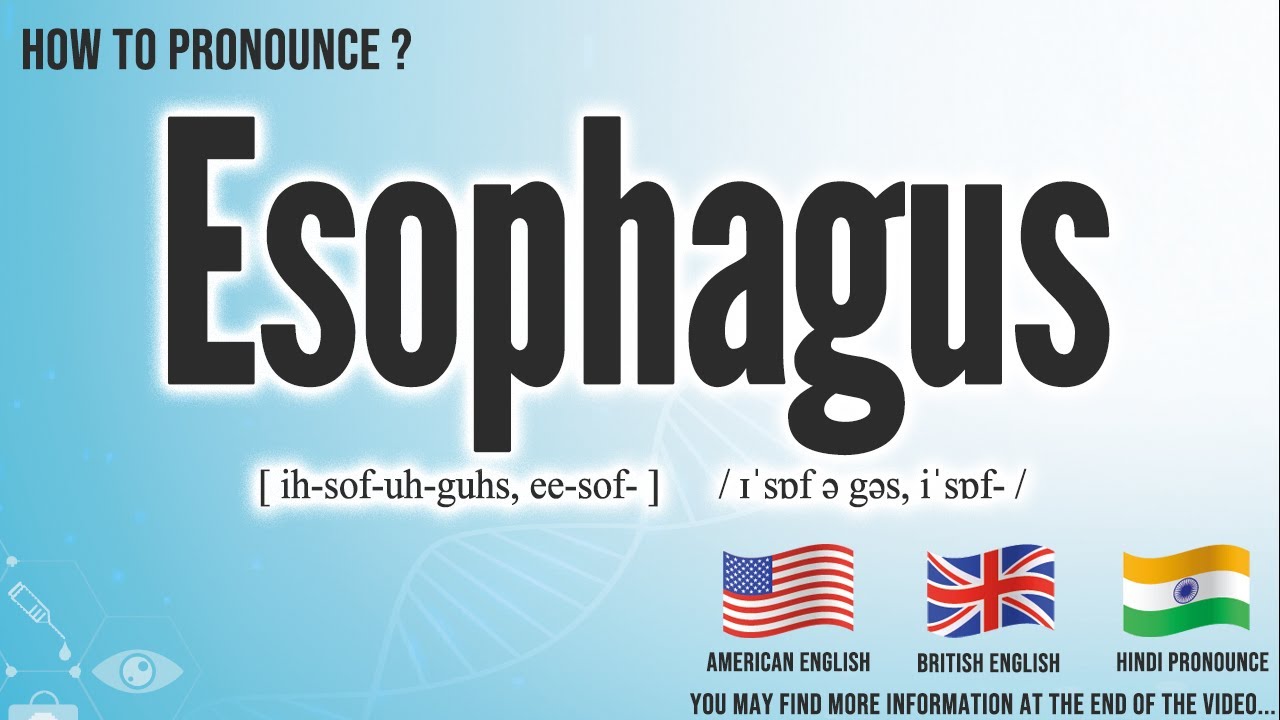 Esophagus Pronunciation | How to Pronounce Esophagus in American ...