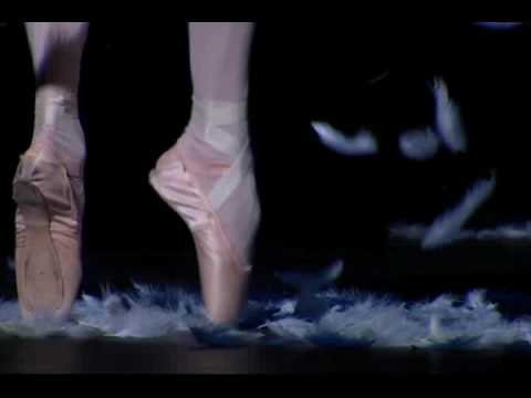 The Dying Swan - YouTube