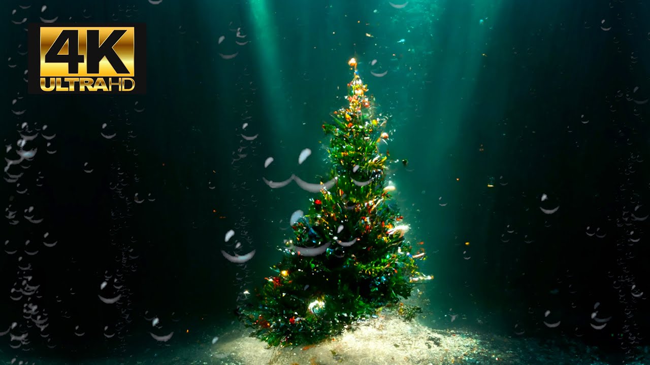 O (Underwater) Christmas Tree | 4K 🎄 - YouTube