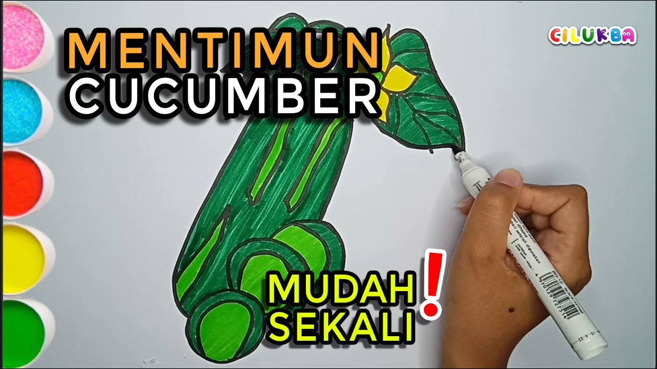CARA MENGGAMBAR SAYUR MENTIMUN UNTUK ANAK KECIL - How To Draw Cucumber ...