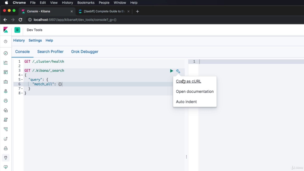 10 Sending queries with cURL - YouTube