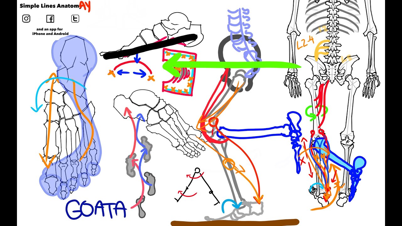 A Mostly Blind Look at the GOATA Method - YouTube