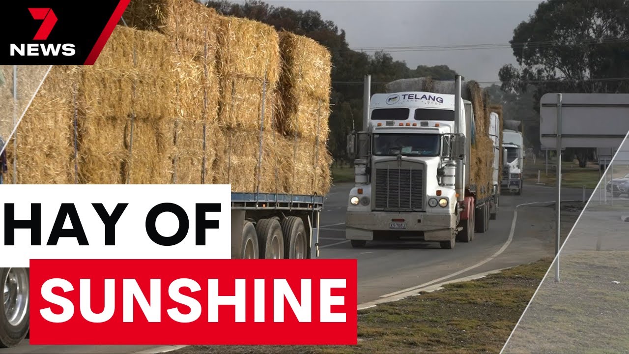 Heartwarming hay run ‘Need for Feed’ hits the road | 7NEWS - YouTube