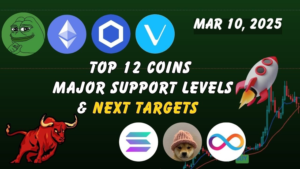 🚀Top 12 Coins with Major Support & Next Targets | Pepe coin, Bonk coin ...