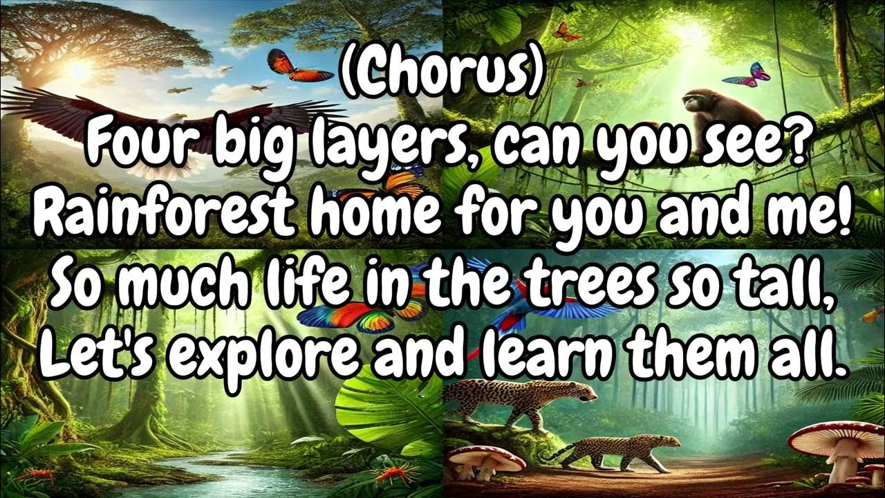 THE RAINFOREST LAYERS SONG | Fun Educational Song | ACTIONS in ...