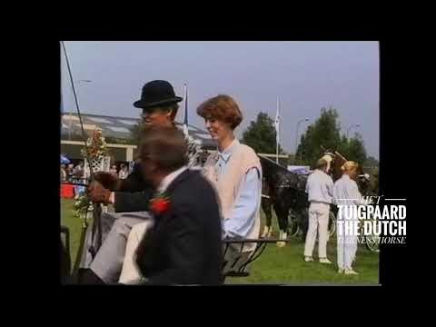 Gelony (1988, Renovo x Indiaan) met Lammert Tel, NTD 1994 - YouTube