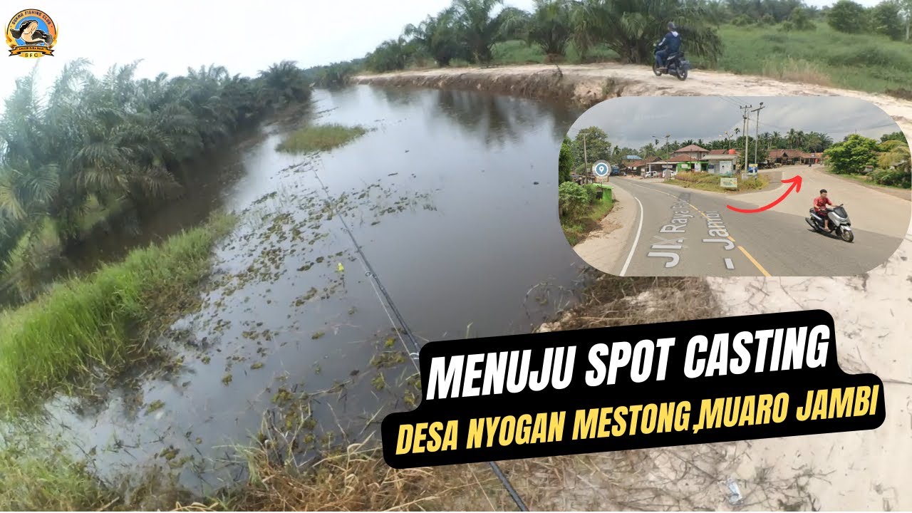 Menuju Spot Mancing Desa Nyogan Mestong Muaro Jambi - YouTube