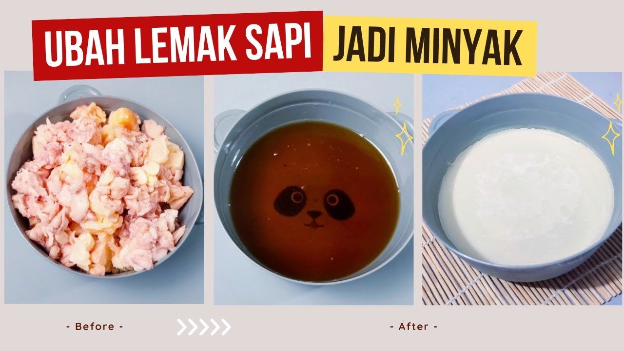 TIPS OLAH LEMAK SAPI jadi MINYAK (Beef Tallow)‼️hanya 1 bahan - YouTube