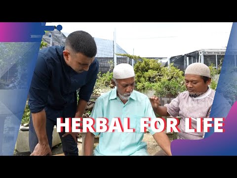 Terapi STROKE Bisa Dimulai PIJAT Bagian Ini | HERBAL FOR LIFE (26/3/23) P2