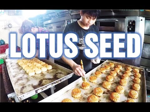 Chinese New Year Cookies - Lotus Seed Ngov Ying for Moon Festival of China - Bakery | Street Food