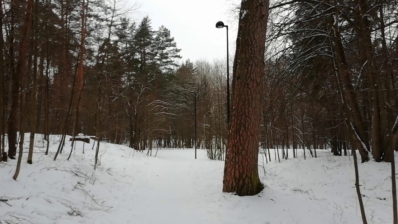 Huawei P Smart video sample (stabilization)