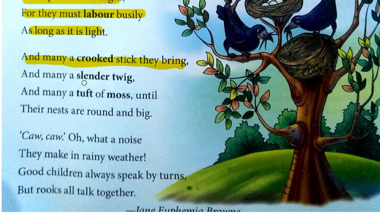 The rooks class 3rd - YouTube