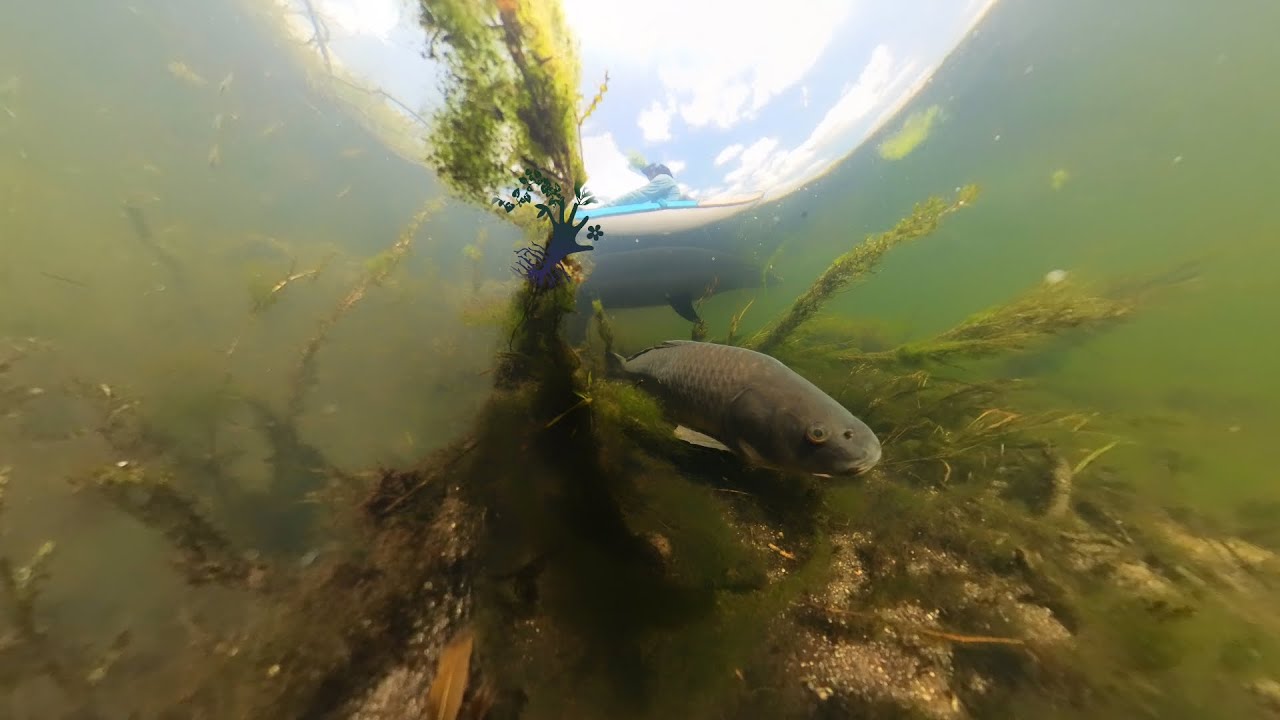 Huron River drifting into activity - YouTube