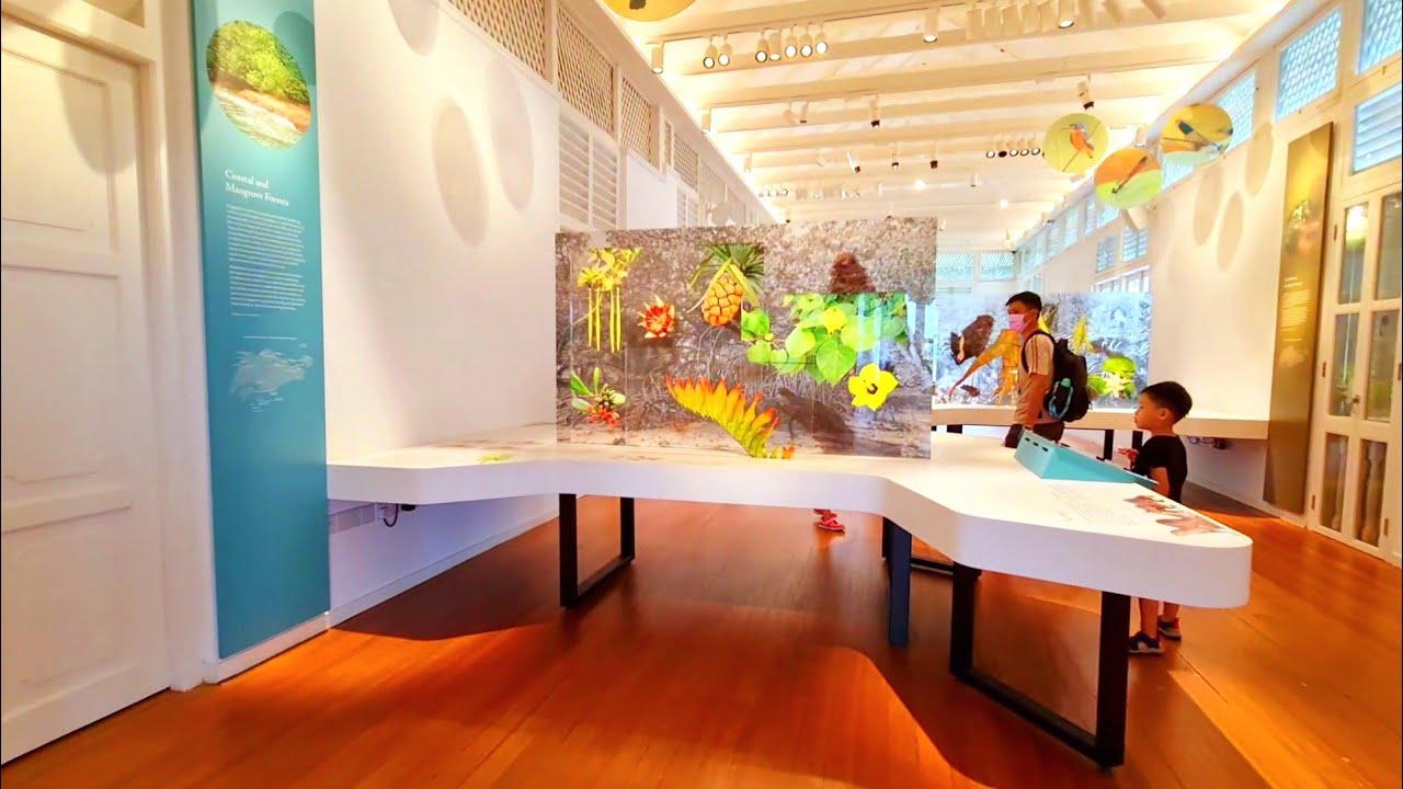 Botanical Art Gallery and Forest Discovery Centre at OCBC Arboretum ...