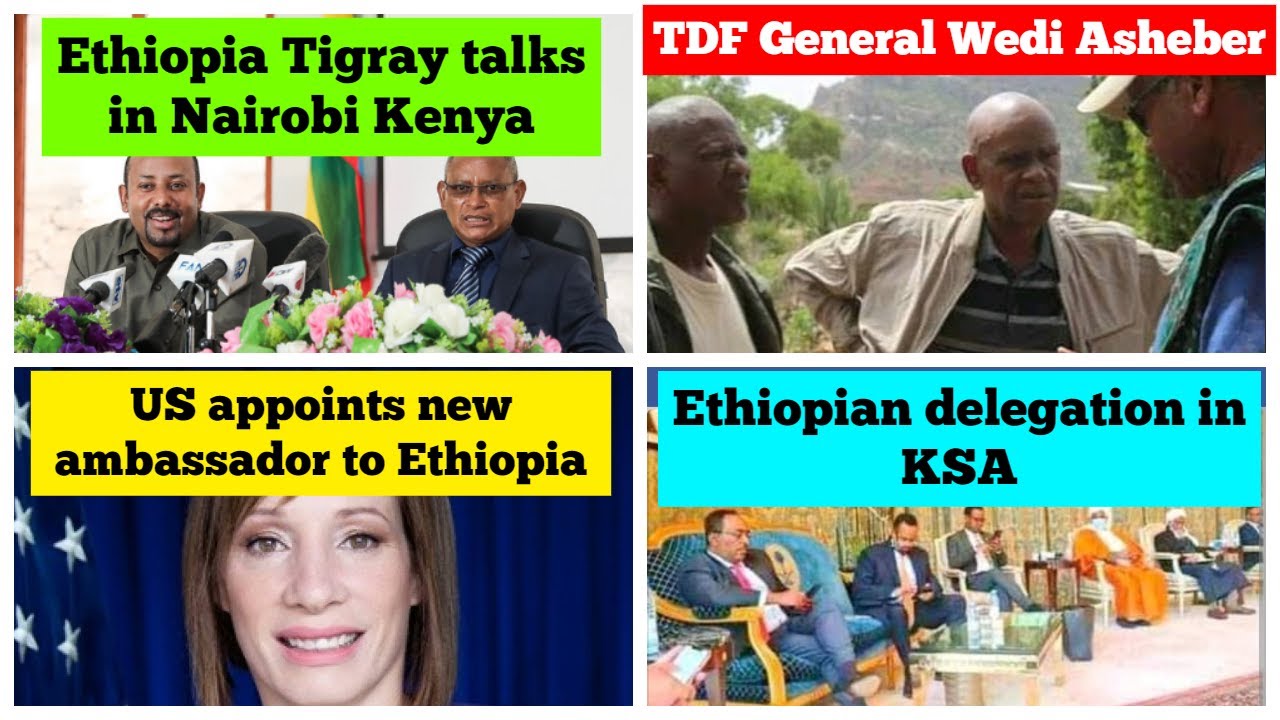 Ethiopia-Tigray talks in Nairobi Kenya | TDF General Wedi Asheber | New ...