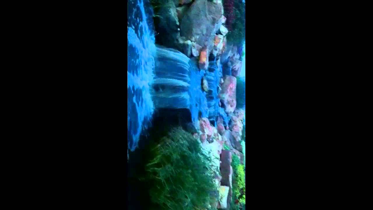 Yellow Flower + Waterfall - YouTube