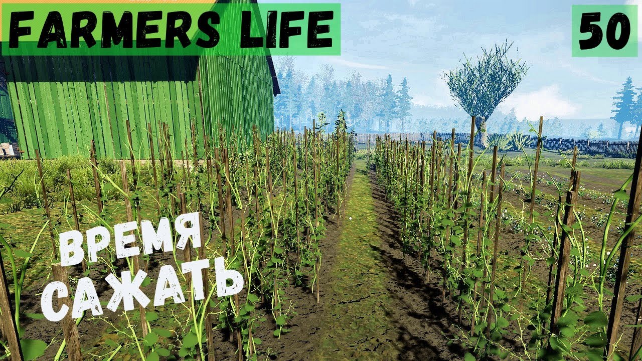 Farmer's Life - Посадил горох, Картофель, Морковь. Продаю мёд. На ...