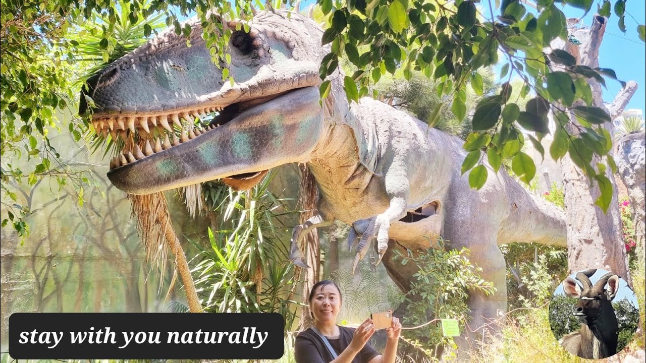 Bayworld museum Port Elizabeth part 1 - YouTube