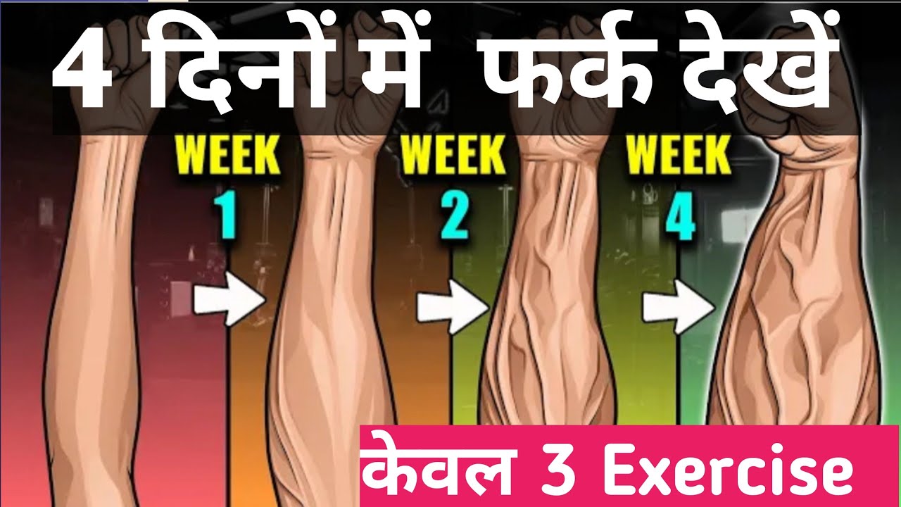 Forearm Workout At Home 🧘3 Exercise For 15 inch Forearms - YouTube
