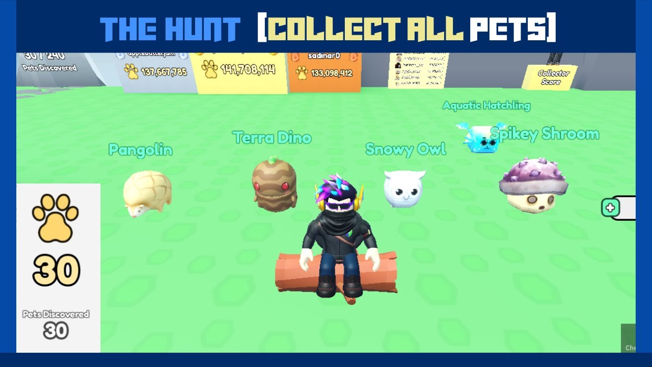 (The Hunt) How to get the Hunt Badge in Collect all pets - YouTube