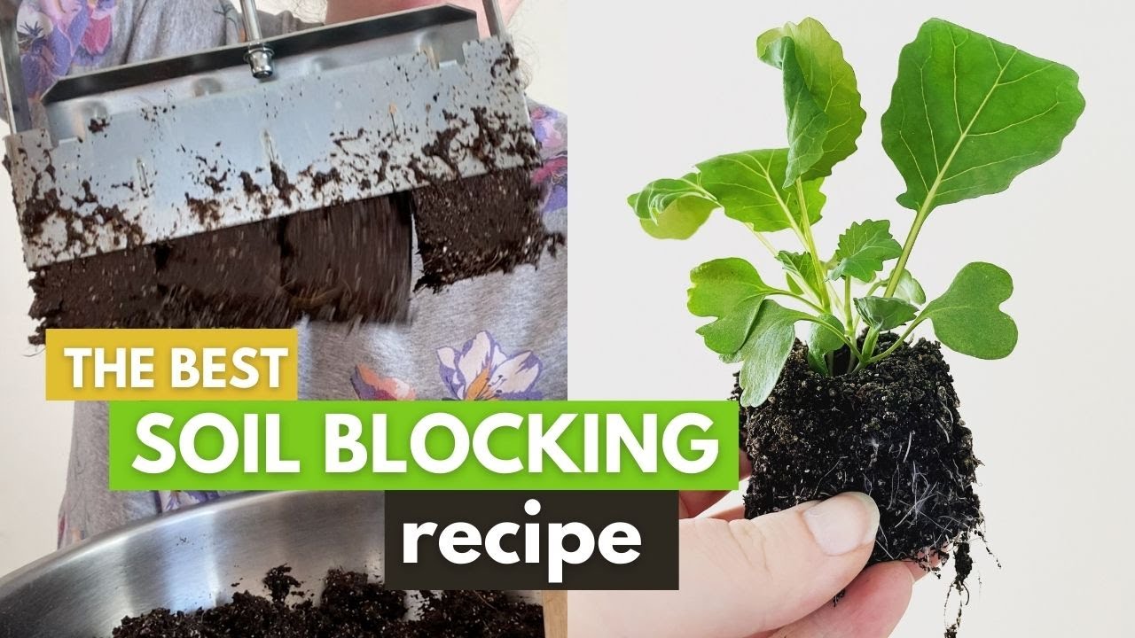 The Soil Block Recipe You've Got to Try - YouTube