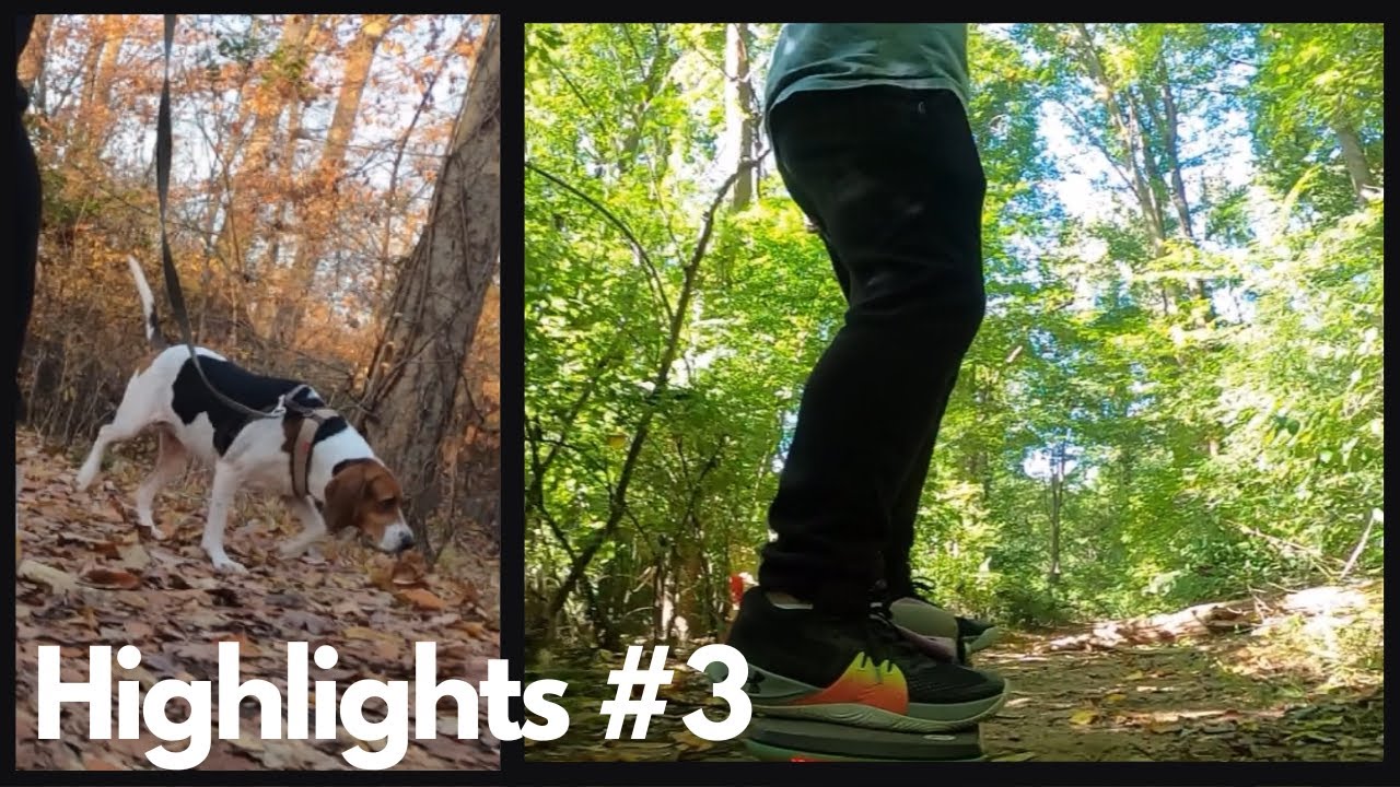 Onewheel Pint Ride - HIGHLIGHTS #3 - YouTube