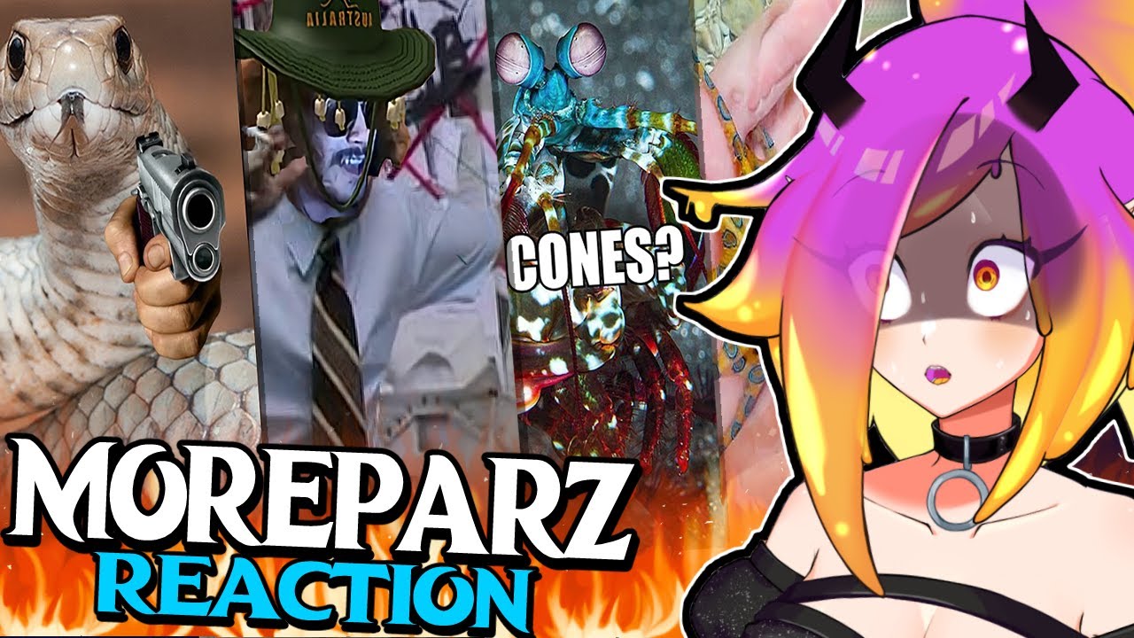 HOW DOES THIS EXIST?! - Certified Australia More Parz Reaction - YouTube